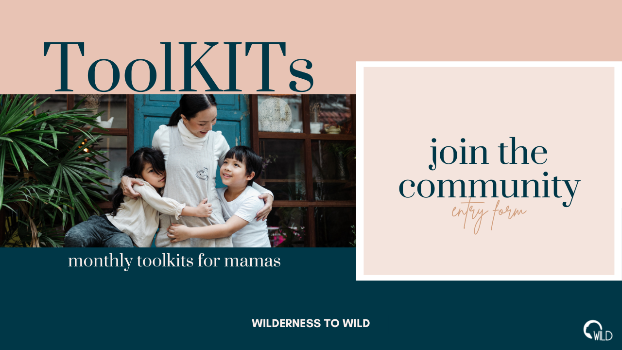the ToolKITs | Waitlist