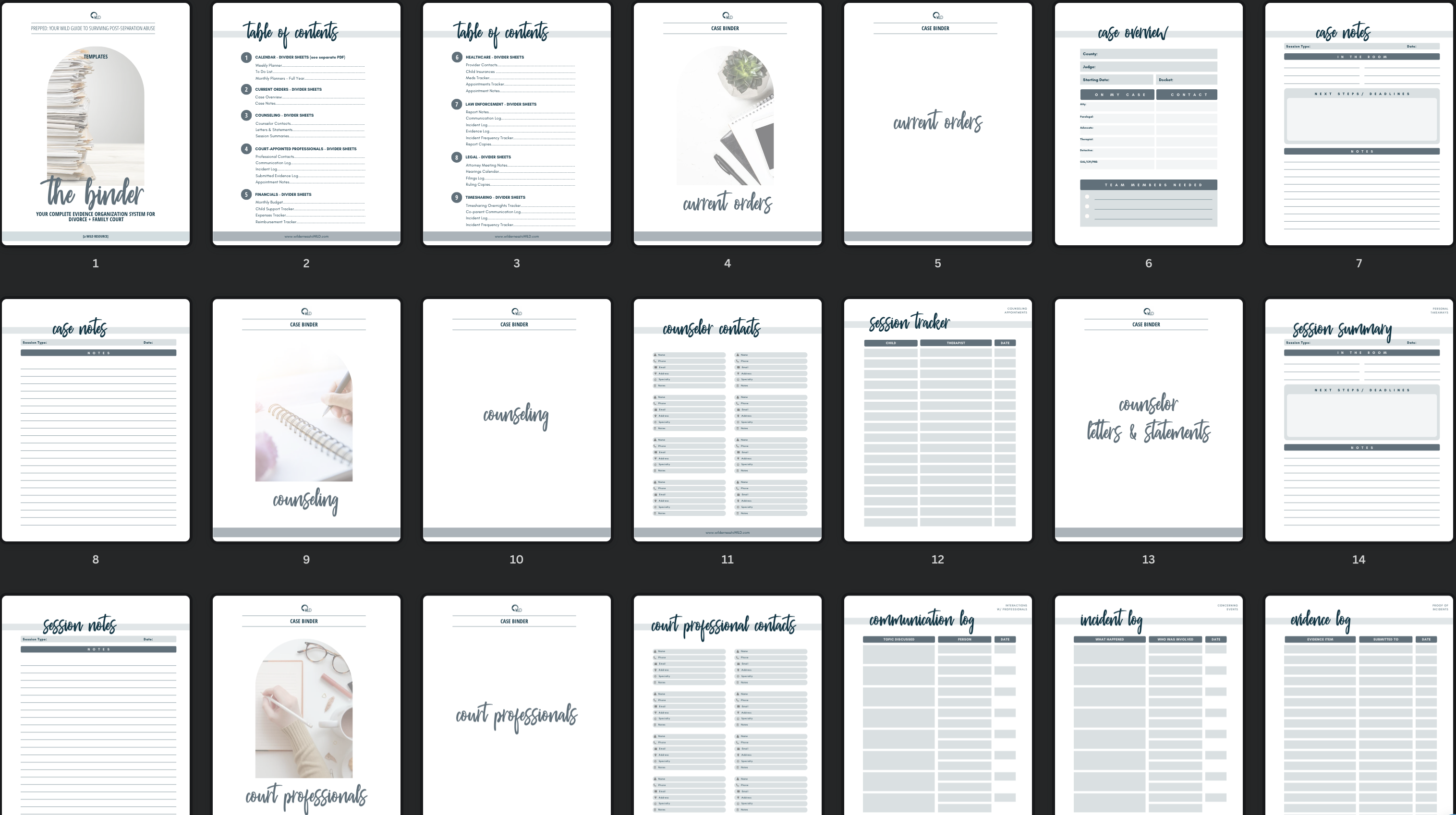 the BINDER | Your Complete Evidence Organization System for Divorce ...